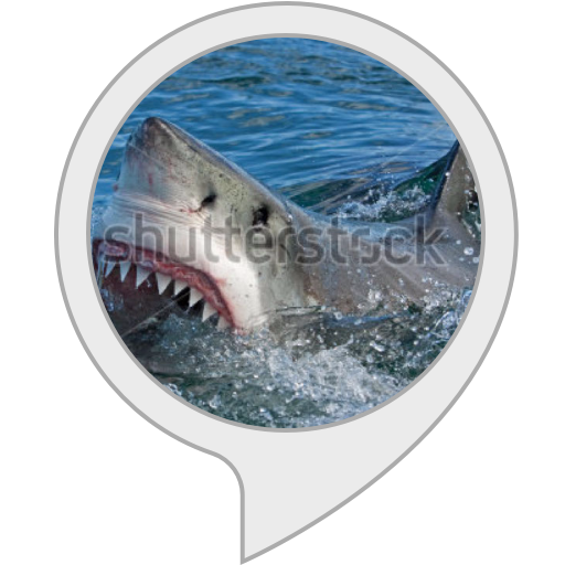 Amazon.com: null : Alexa Skills