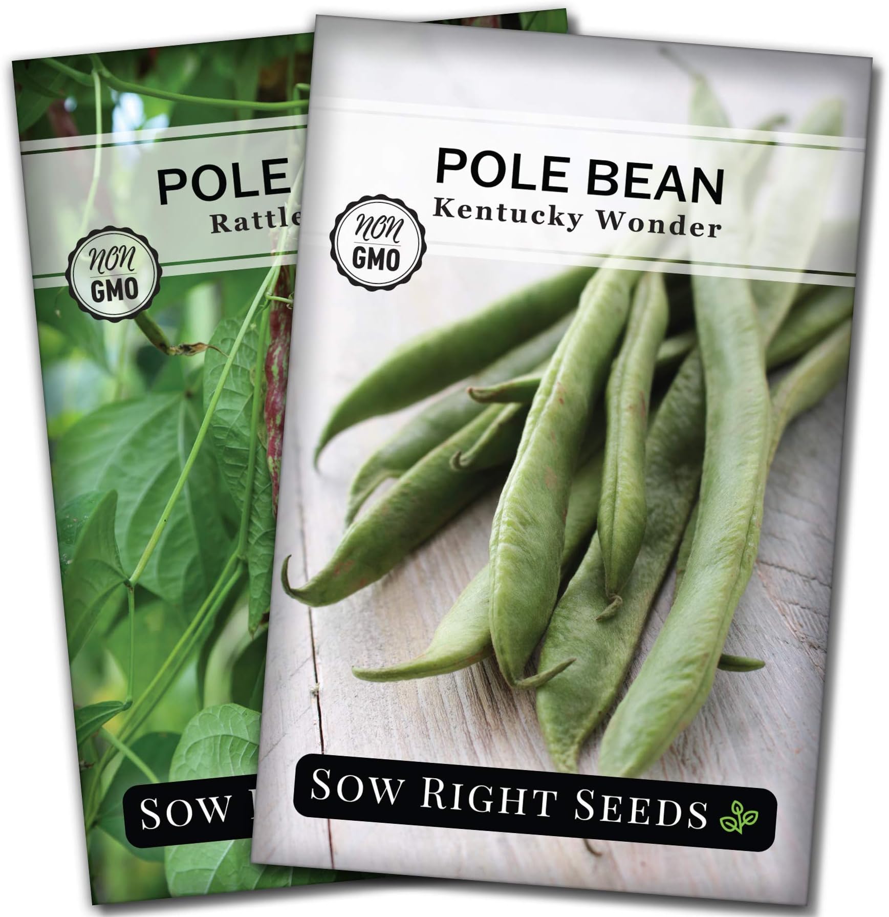Amazon.com : Burpee White Half Runner Pole Bean Seeds 2 ounces of seed ...
