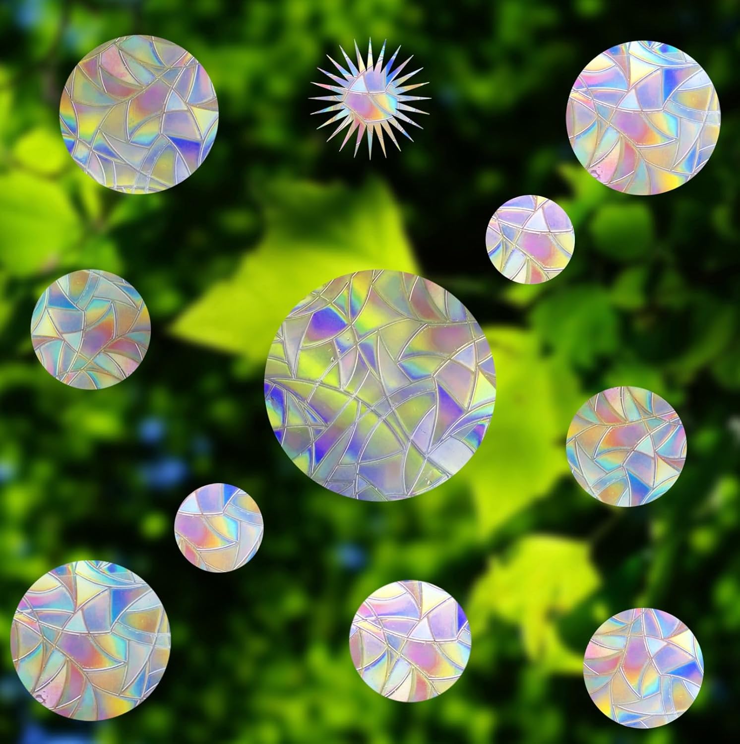 Amazon.com: AREAWA Circle Window Clings - Anti-Collision Window Decals ...