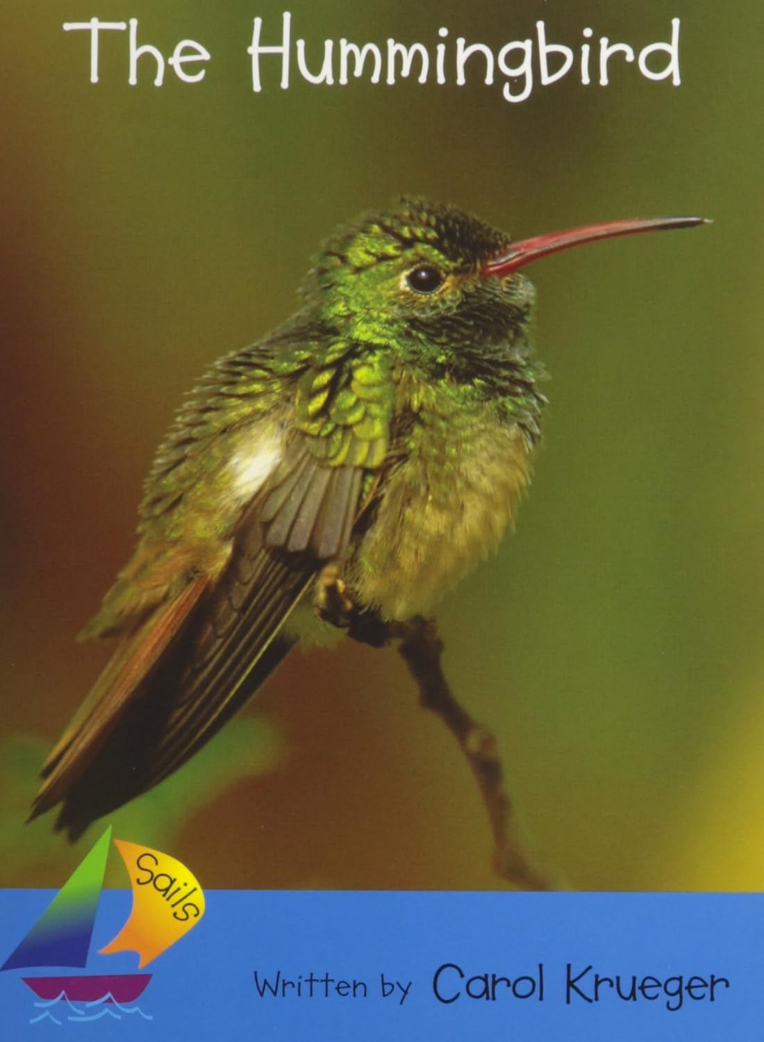 Amazon.com: The Hummingbird: Leveled Reader 6pk Blue (Sails ...