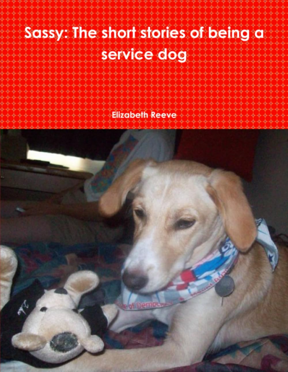 Amazon.com: Sassy: The short stories of being a service dog ...