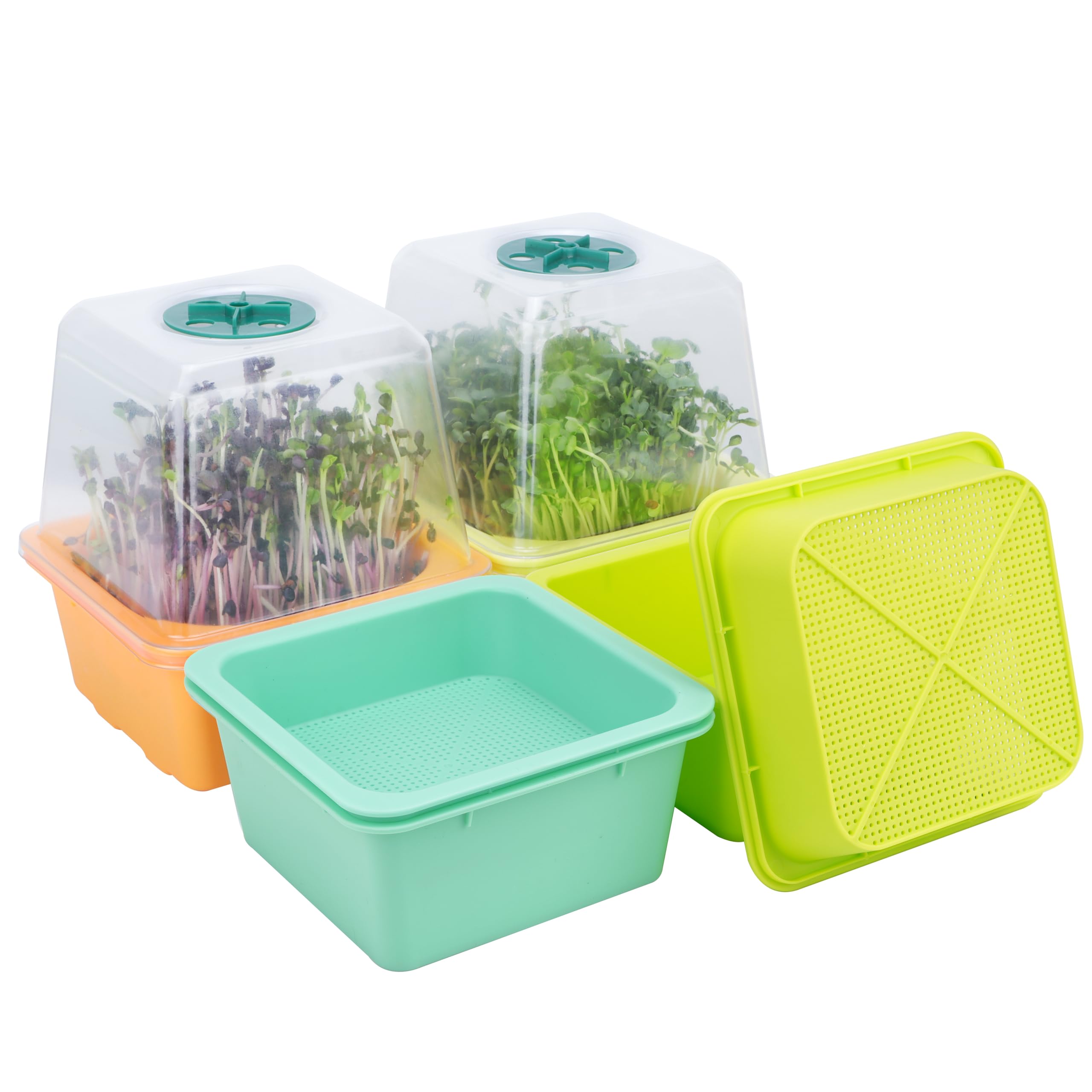 Amazon.com : Microgreen Growing Trays with Lid, LUVCSOY Sprouting Tray ...