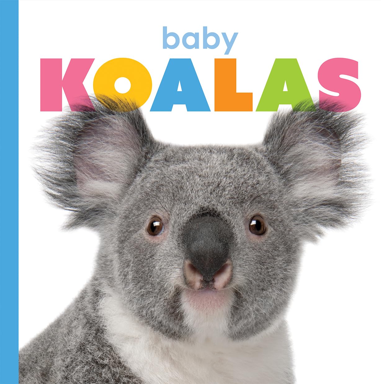 Baby Koalas: Kate Riggs: 9781640260757: Amazon.com: Books