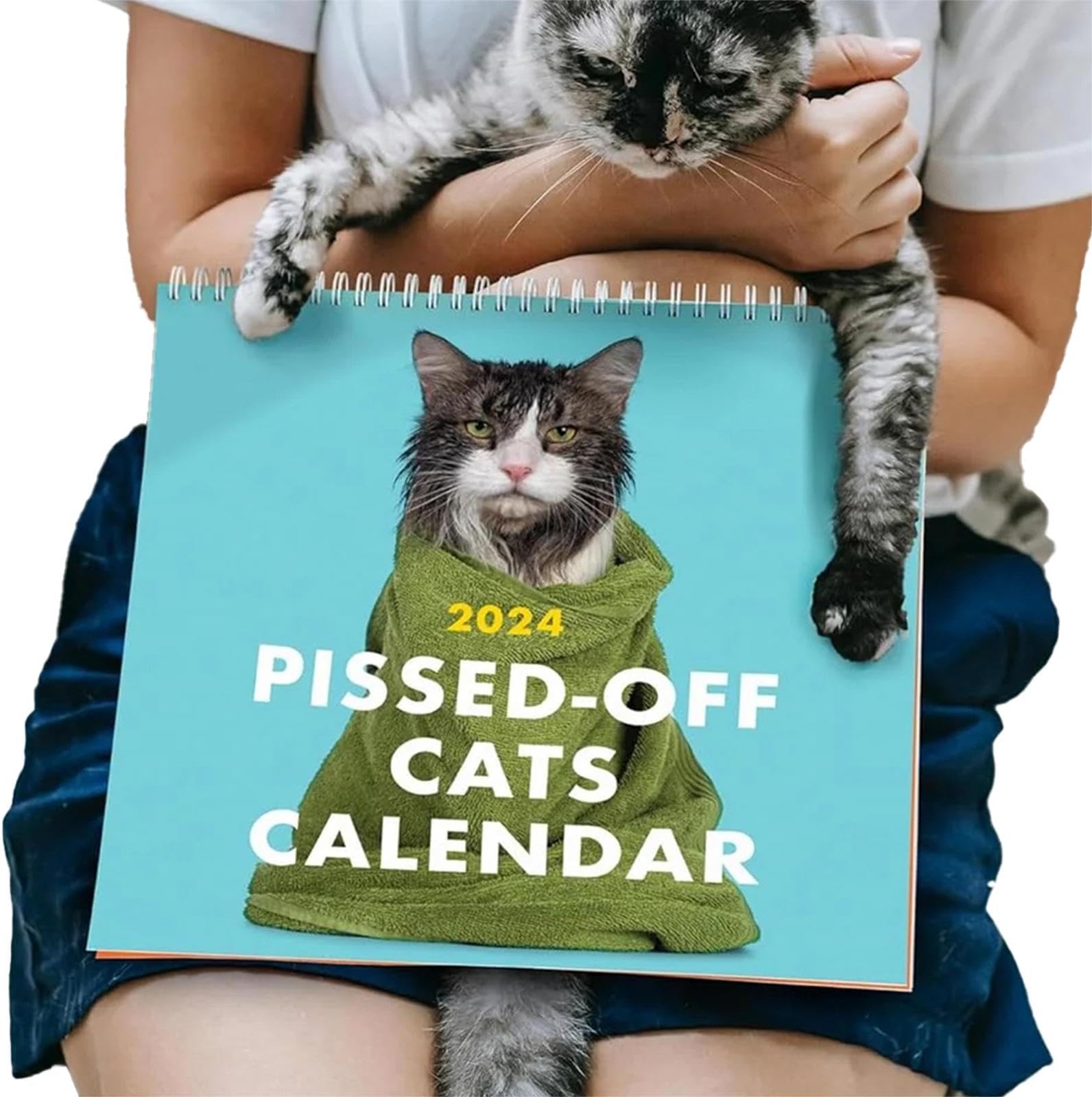 Calendar 2024 Uk Calendar Month To View Cat Calendar Uk Off Cats ...