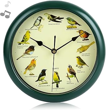 CNAFGBGG Bird Clock that Sings on Hour, Bird Wall Clock 12 Native Bird ...