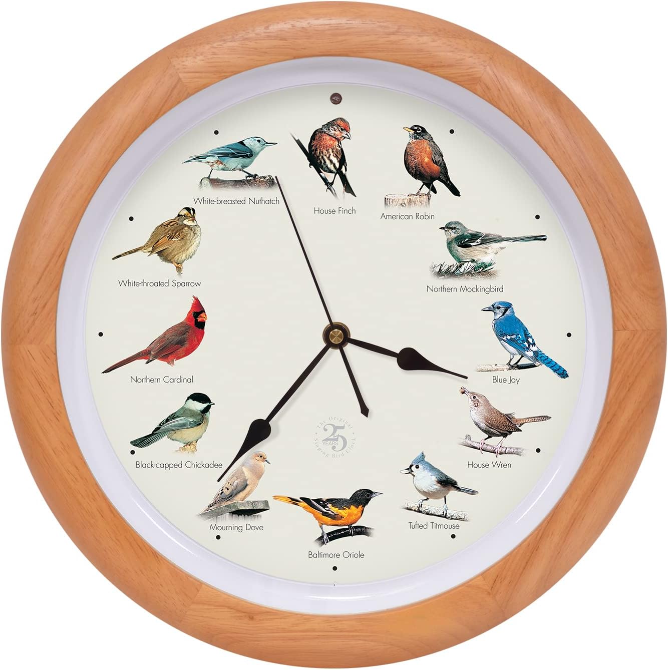 Zeon Tech Birdsong Wall Clock, Green, 24 x 24 x 1 cm : Amazon.co.uk ...