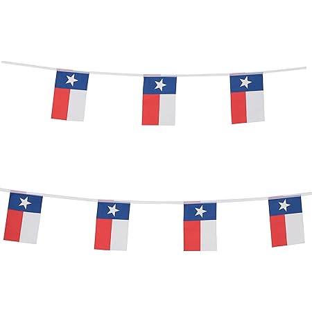 Amazon.com : LoveVC Texas State Flag Small Mini Texas Stick Flags,25 ...
