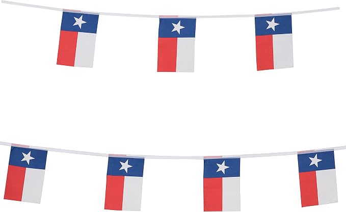 Amazon.com : TSMD Texas State Flag Banner,100 Feet Small Mini Texas TX ...
