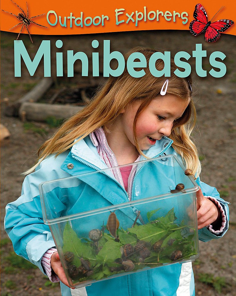 Minibeasts: Green, Sandy: 9781445119632: Amazon.com: Books