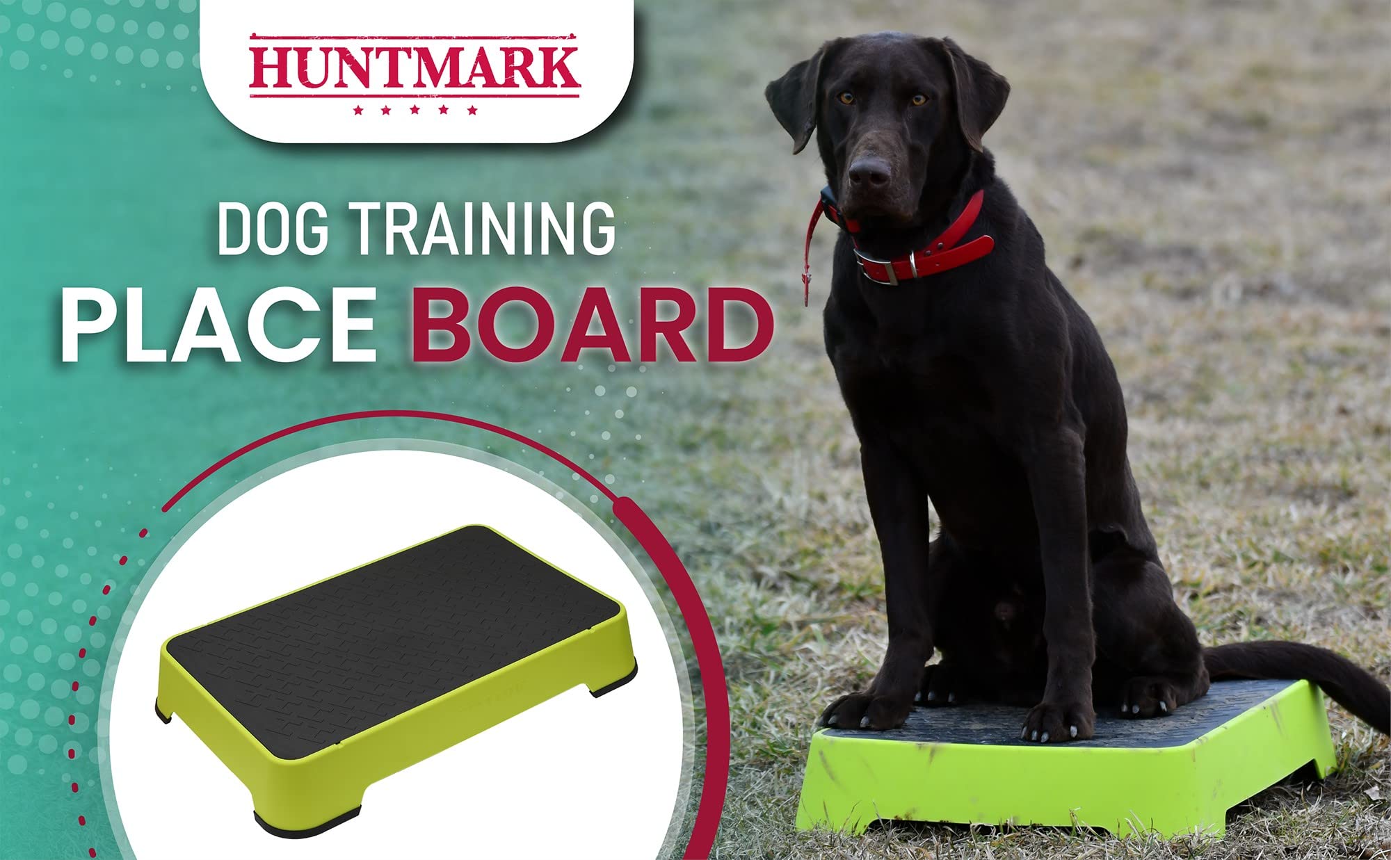 Place Cot For Dog Training Dog Training Place Board - Non-Skid Platform ...
