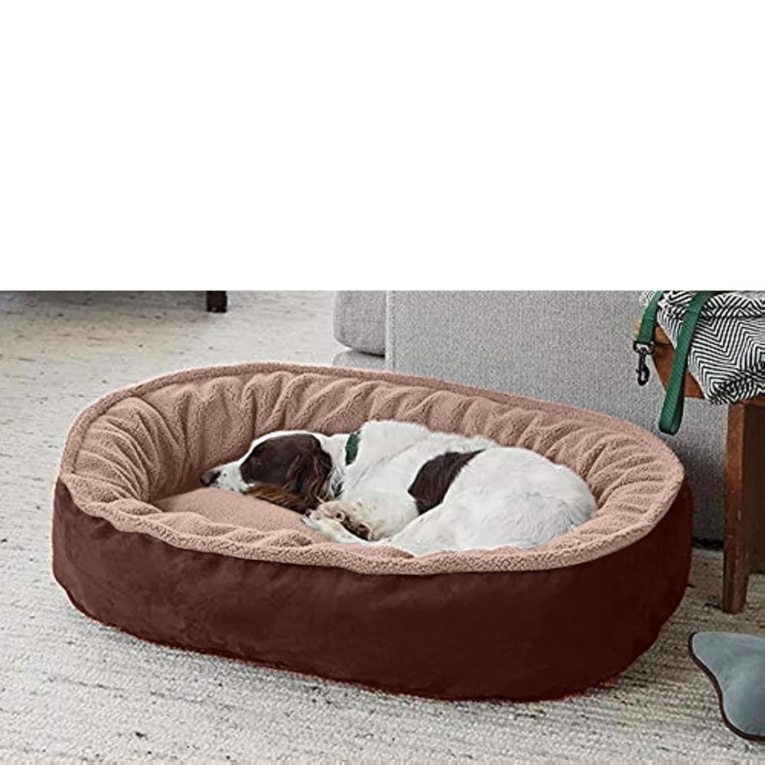DRILLY Washable Dog/cat Bed for Small | Medium | Large | Extra Large ...