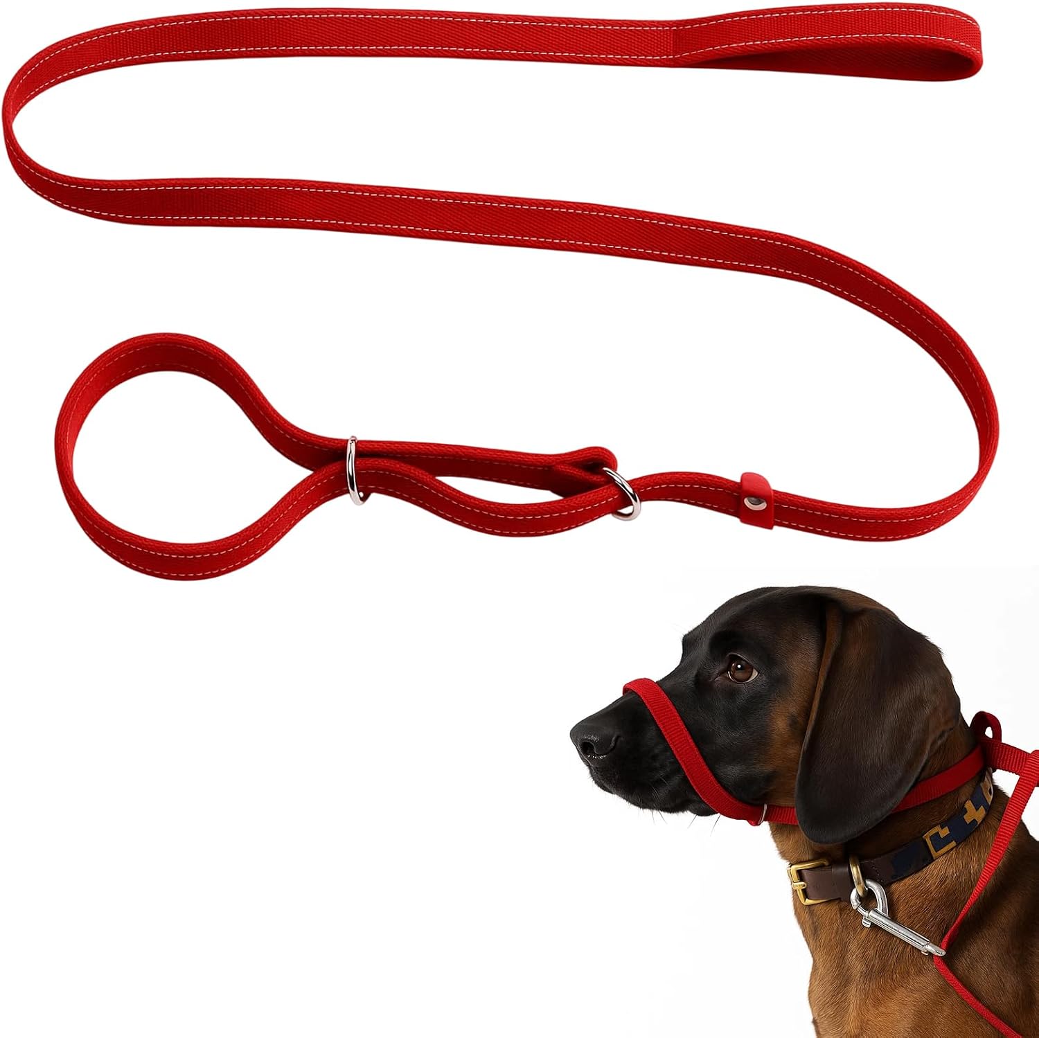 Figure of 8 Dog Lead, Anti Pull Dog Lead with No Pull Control, Red Dog ...