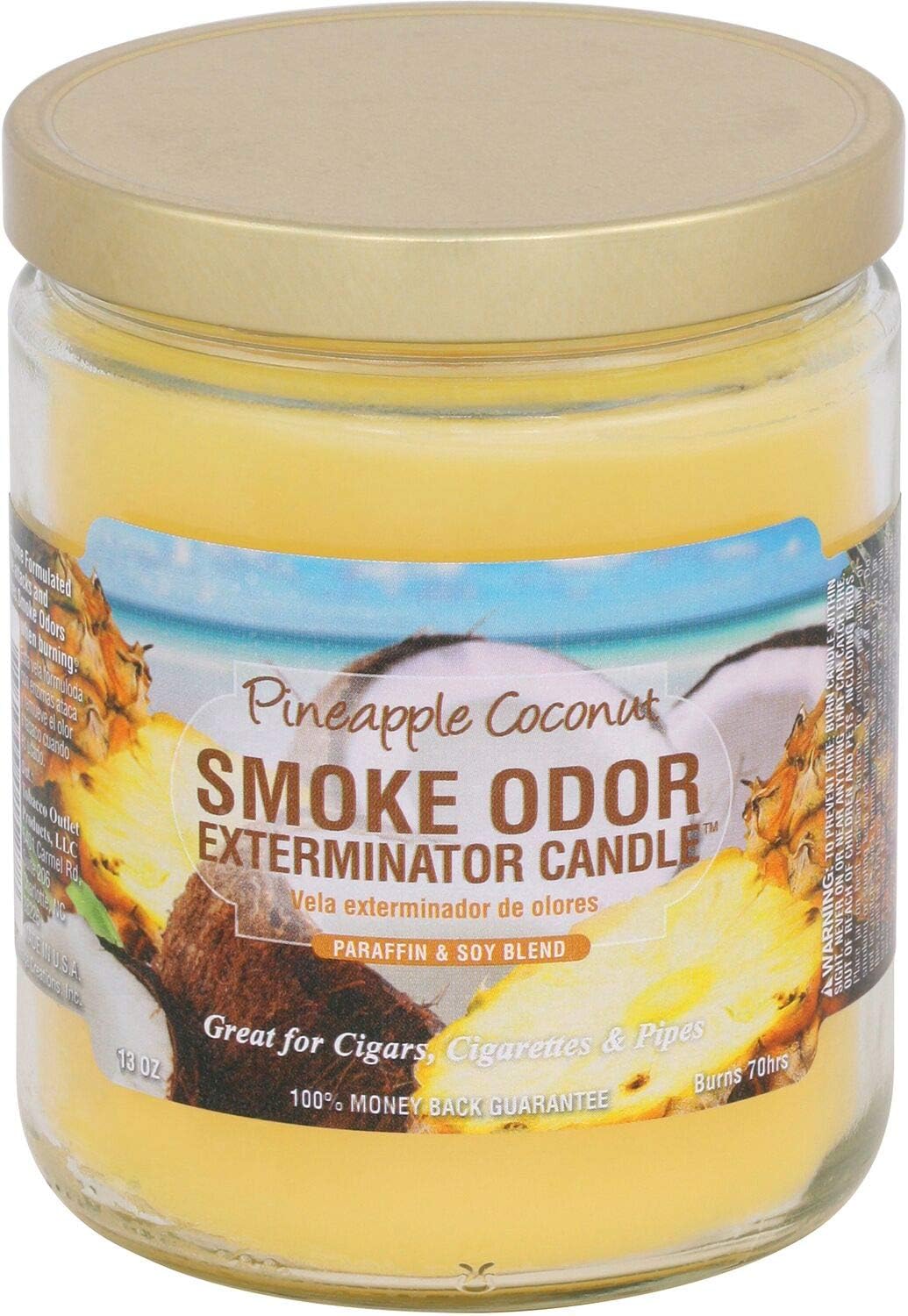 Amazon.com: Smoke Odor Exterminator 13oz Jar Candle, Maui Wowie Mango ...