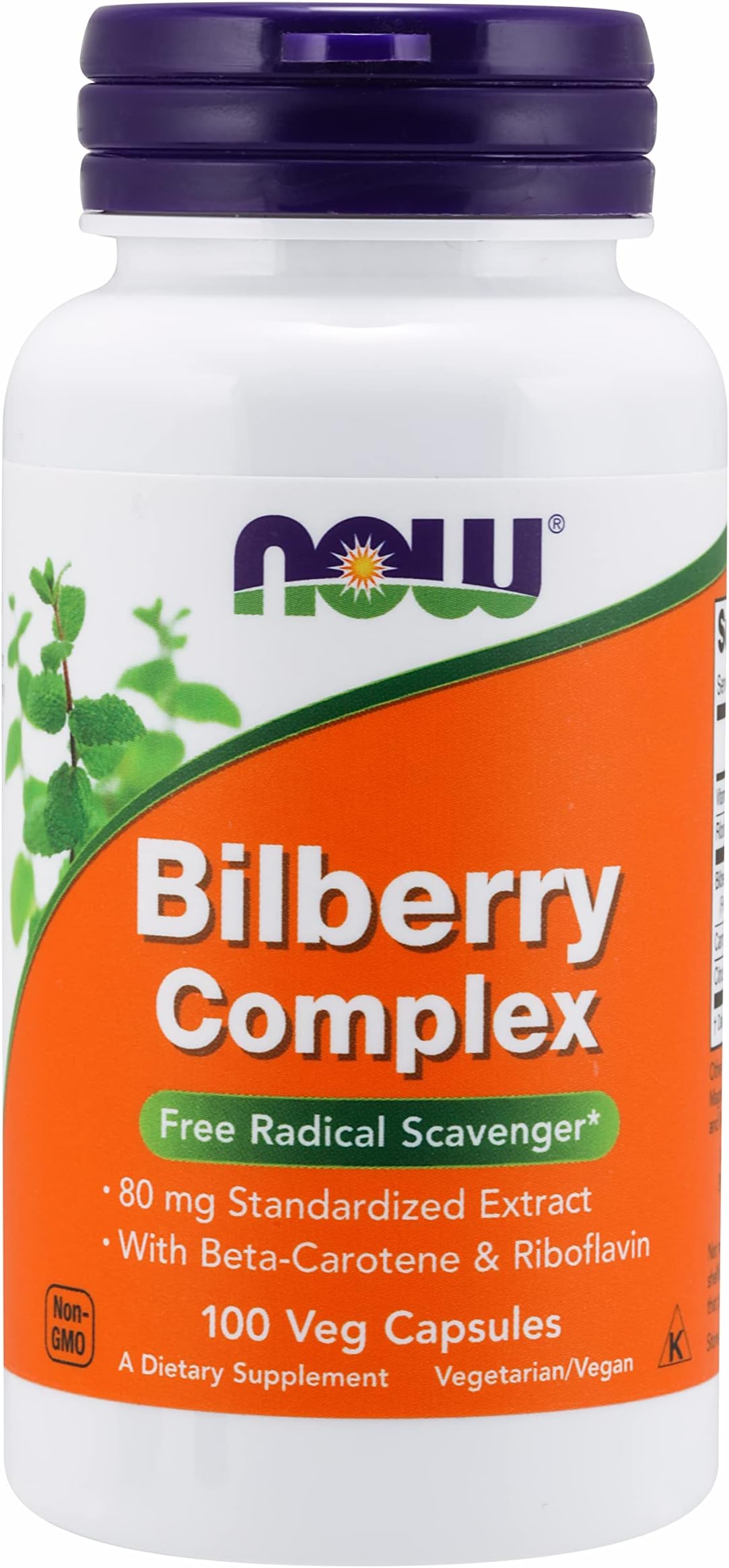 Amazon.com: Best Naturals Bilberry 1000 Mg 90 Capsules (90 Count (Pack ...