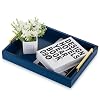 Amazon.com: XIGEXIGE Navy Blue Decorative Serving Tray, Shagreen ...