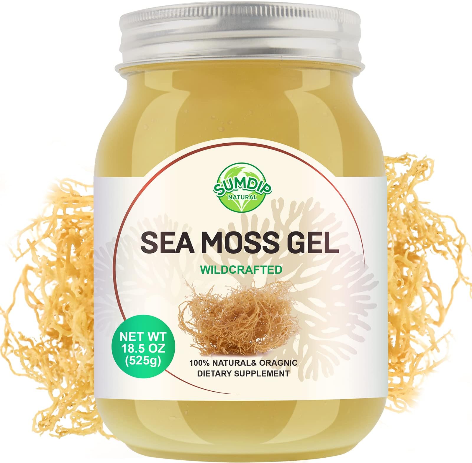 Amazon.com: Organics Ocean Wild Sea Moss Capsules - 100% Organic Irish ...