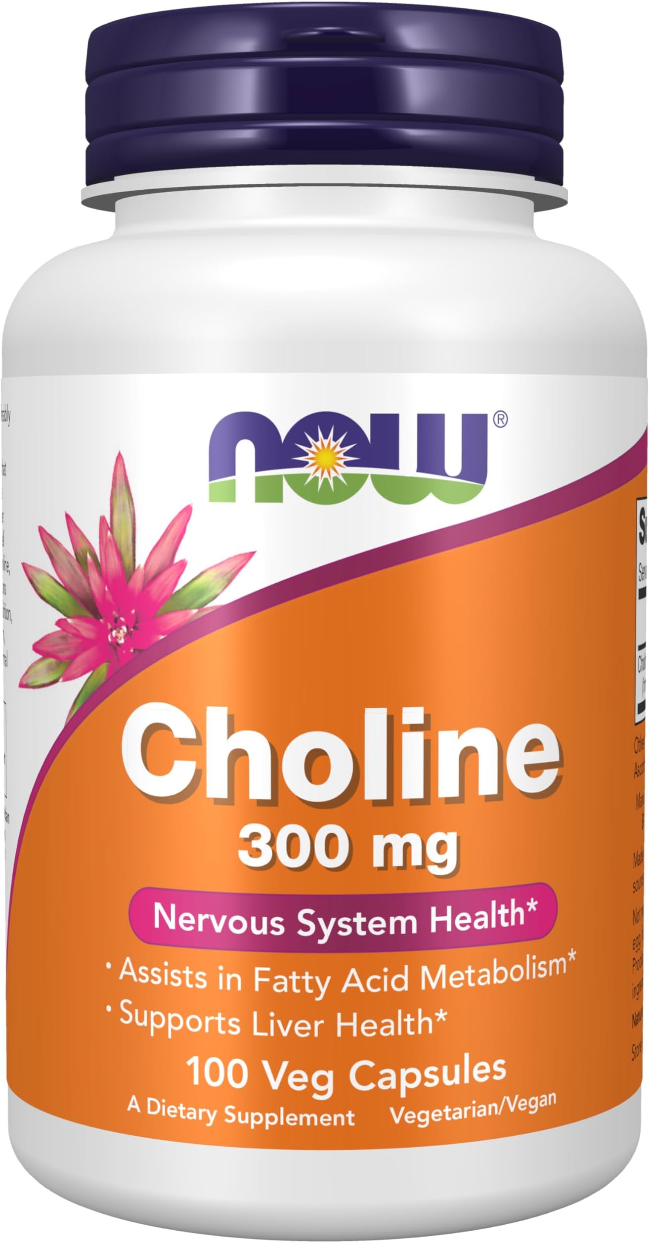 Amazon.com: NOW Supplements Choline 300 mg, 100 Veg Capsules - Supports ...