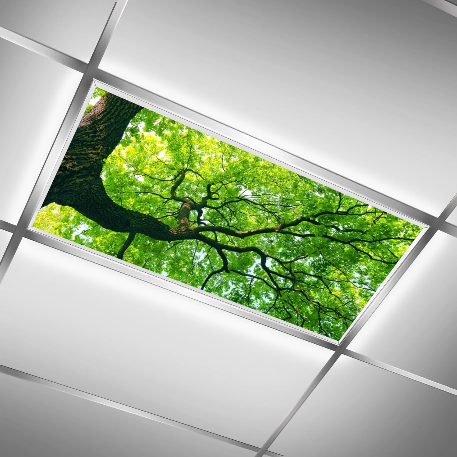 Tree Shade Fluorescent Light Covers for Classroom Office - Light ...