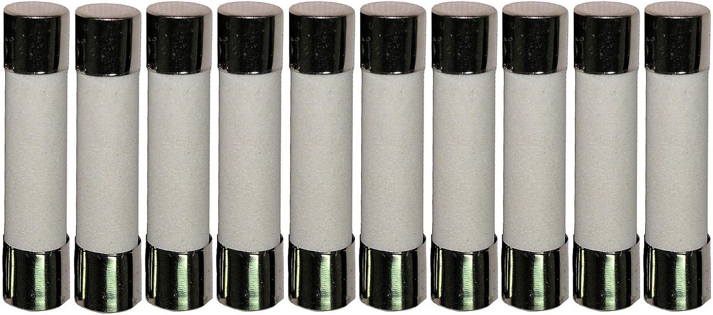 10 Qty. Divine Lighting MDA 2A Slow-Blow Ceramic Fuse 2 Amp 250v MDA2A ...