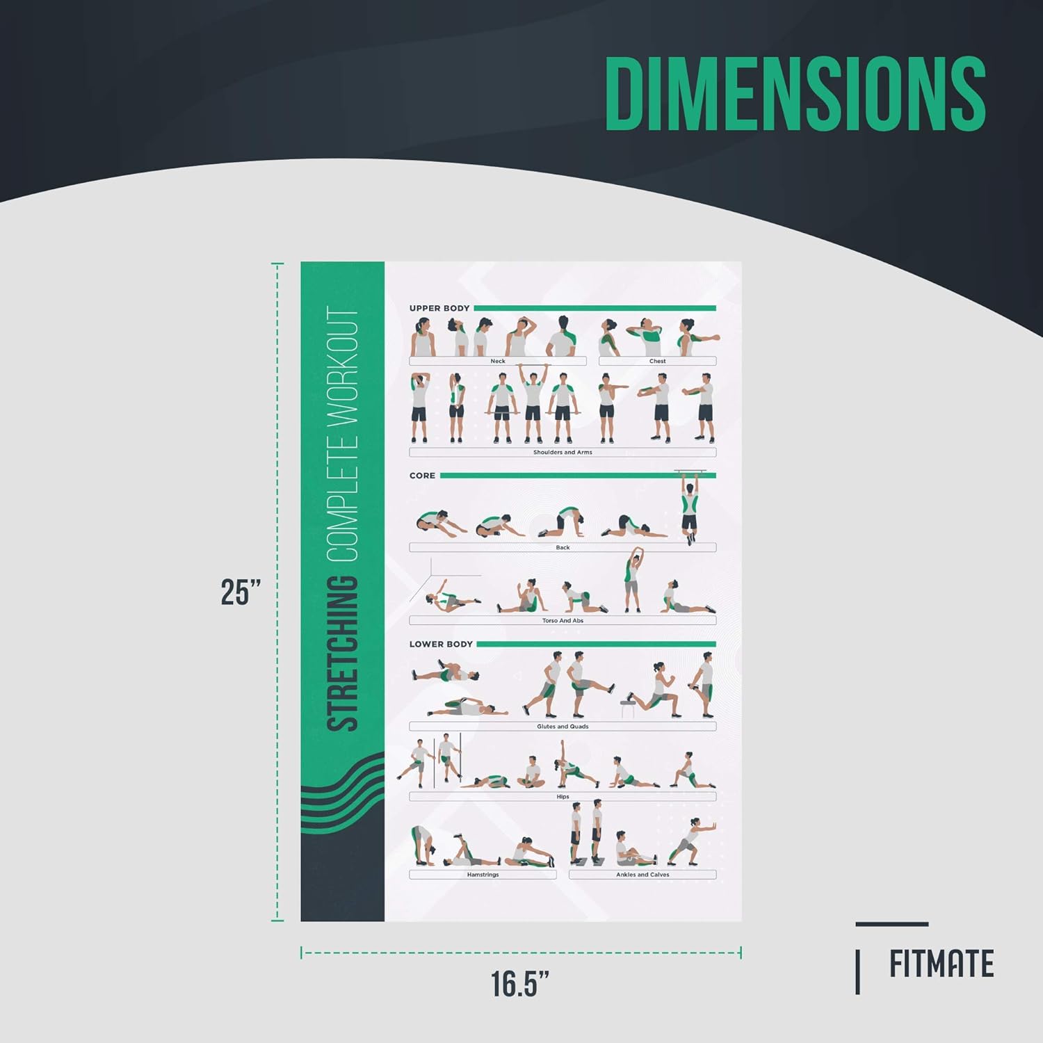 FitMate Stretching Workout Exercise Poster – Workout Routine with Free ...
