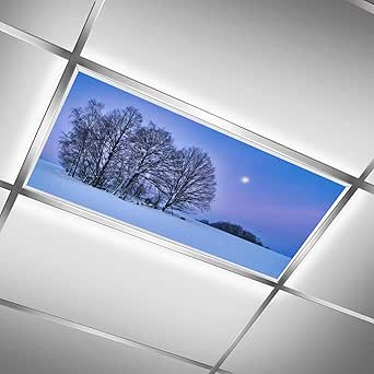 MSINMKOK Fluorescent Light Covers for Classroom Kitchen Office ...
