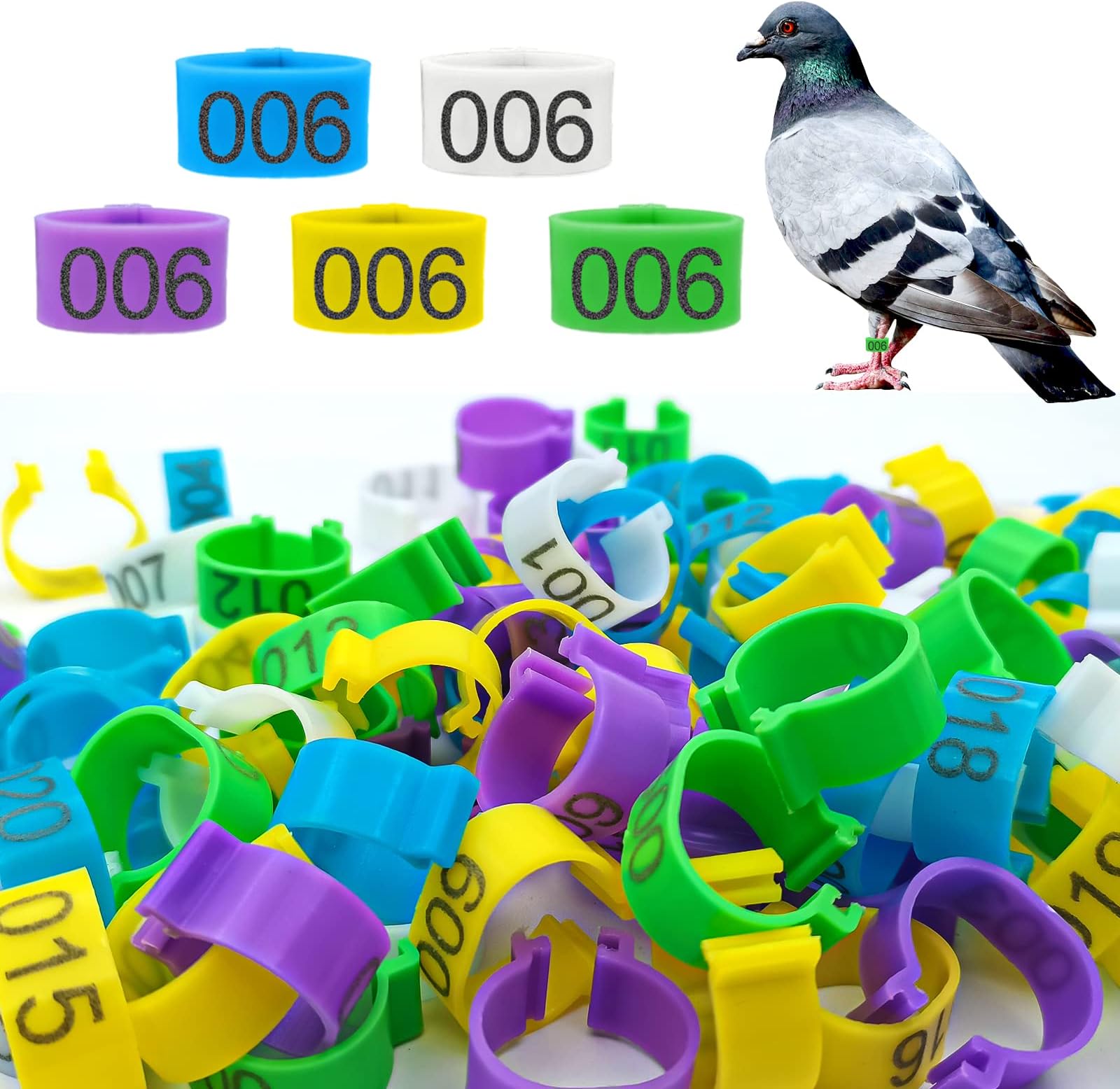 Amazon.com: HONBAY 200pcs Mix Color 8mm Foot Ring Bands Bird Clip on ...