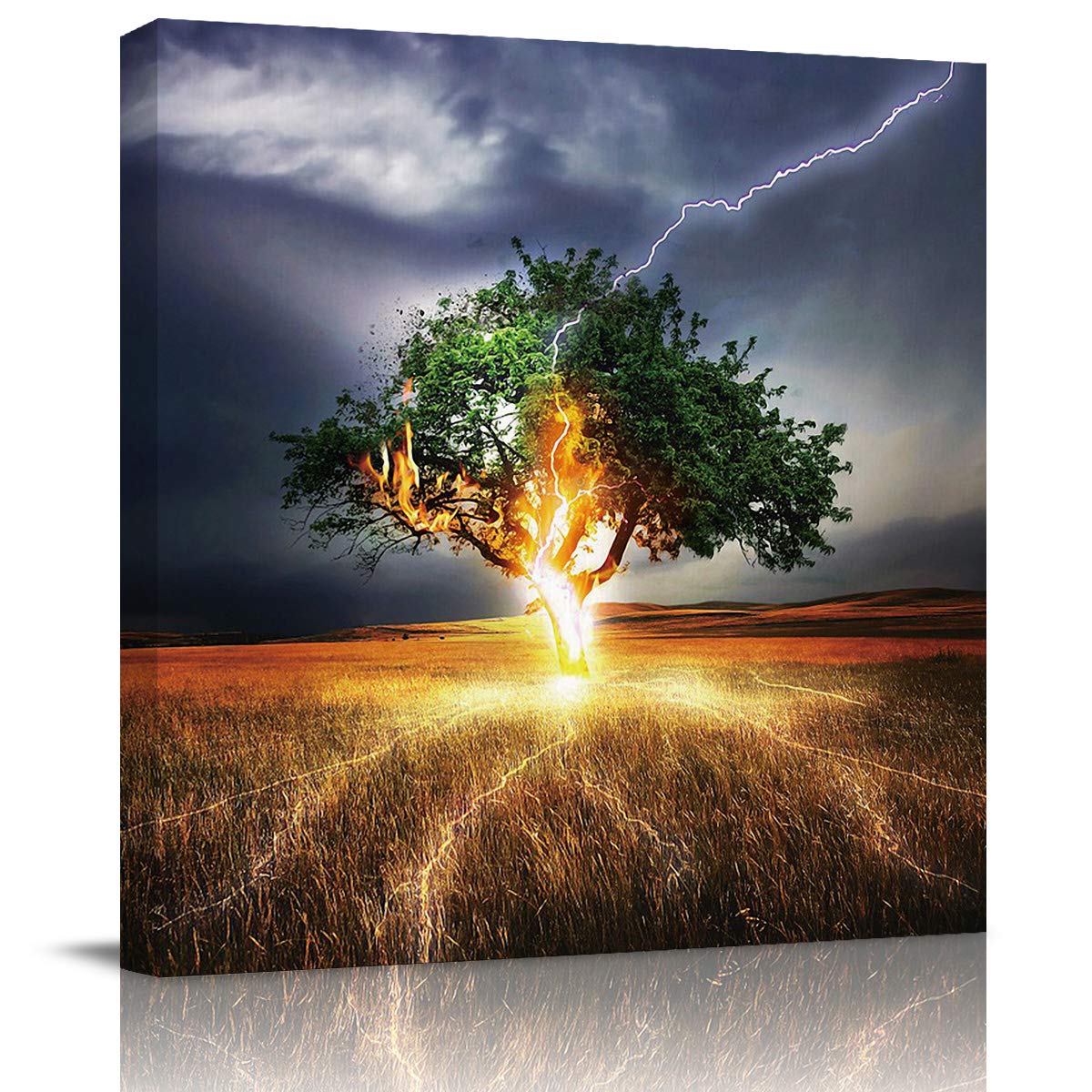Catching Fire Lightning Tree