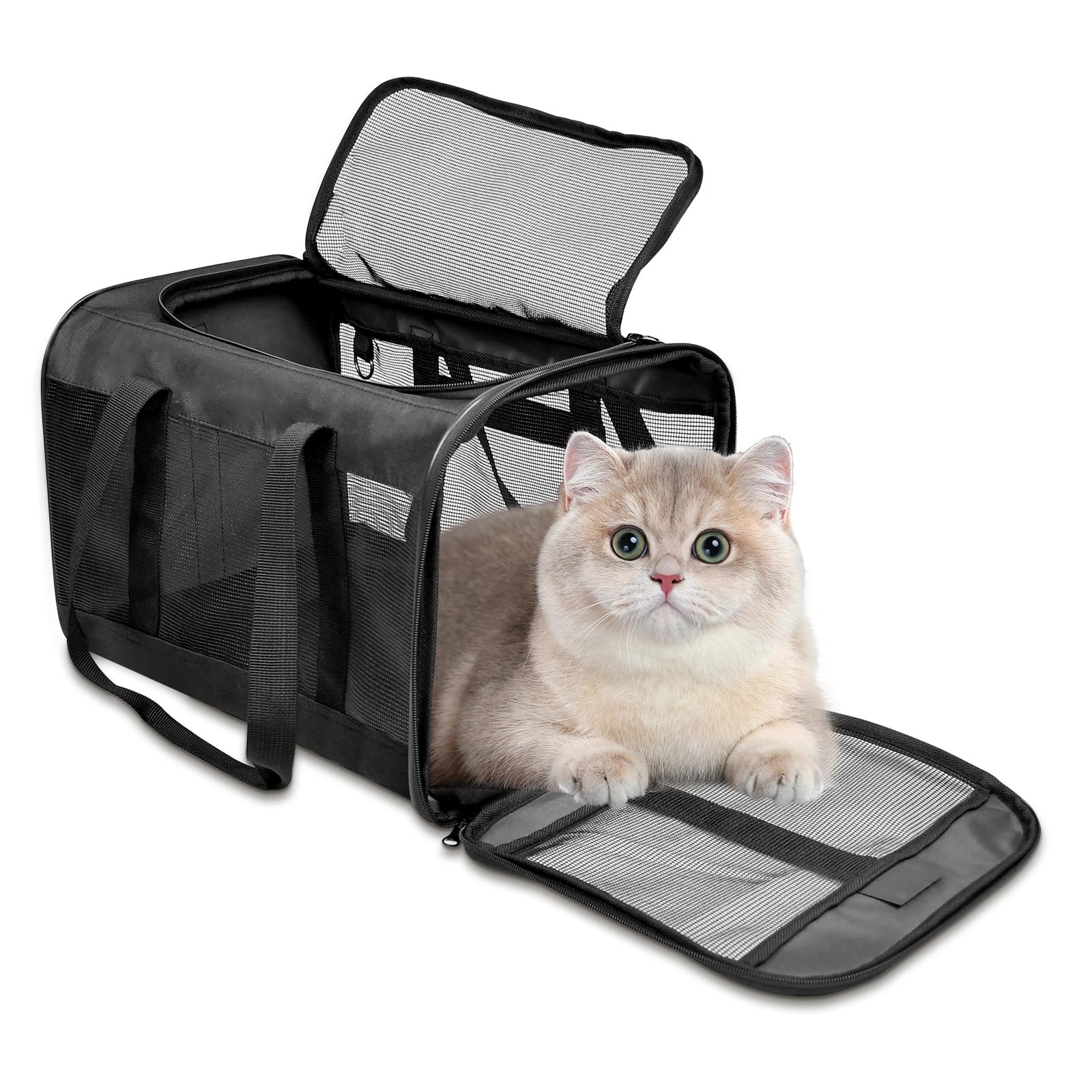 Amazon.com : ZAKAPAWS Pet Cat Carrier Soft-Sided Cat Bag Airline ...