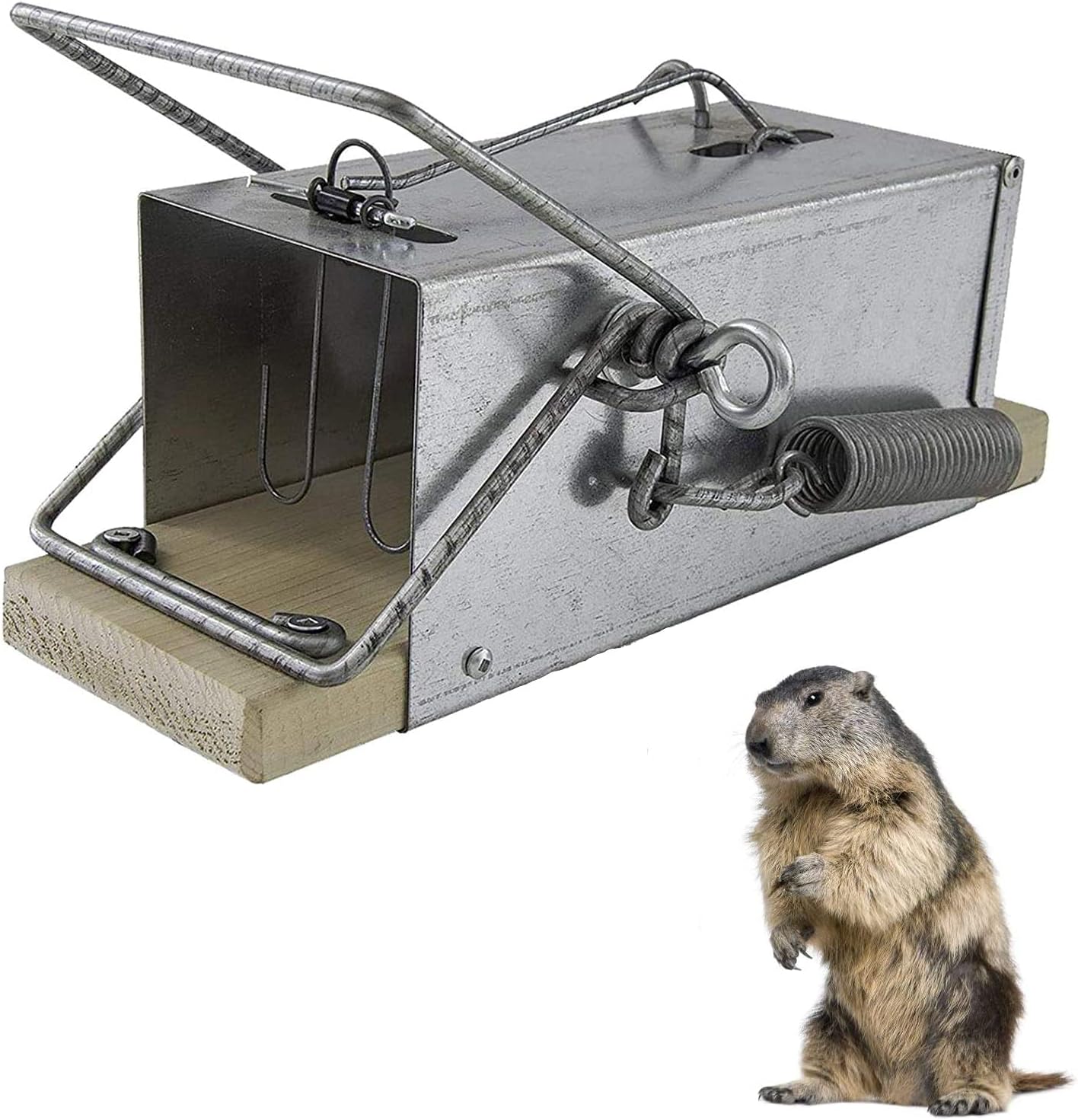 OUELL 4-11 Grey Trap for Rats and Squirrels, Grey : Amazon.de: Garden