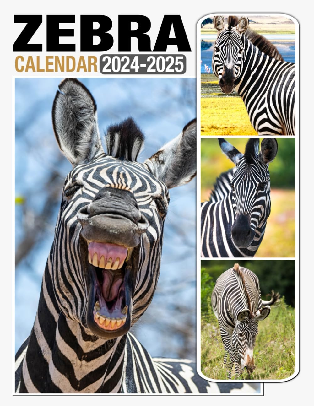 Amazon.com: Zebra Calendar 2024 - 2025: Maintain Organization with 24 ...