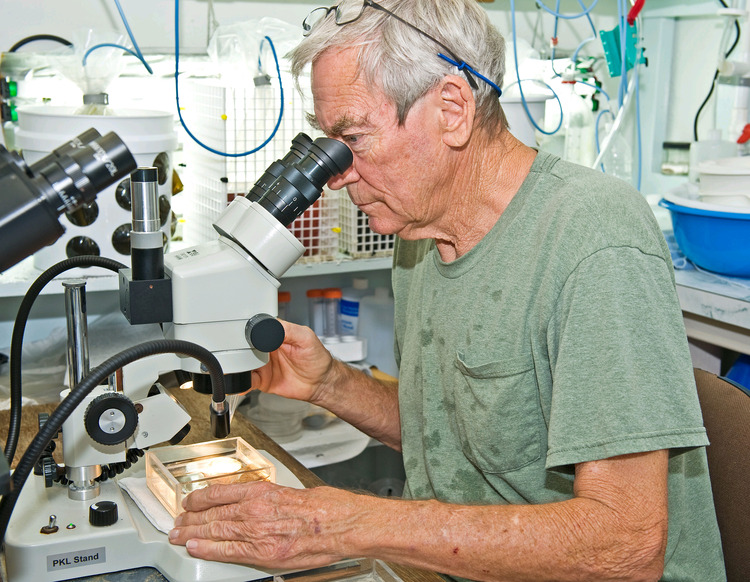 Amazon.com: Martin A. Moe: books, biography, latest update