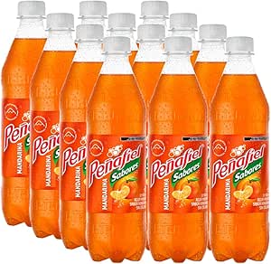 Peñafiel, Refresco Sabor Mandarina 600 ml, Botella Pet (12 pack) : Amazon.com.mx: Alimentos y ...