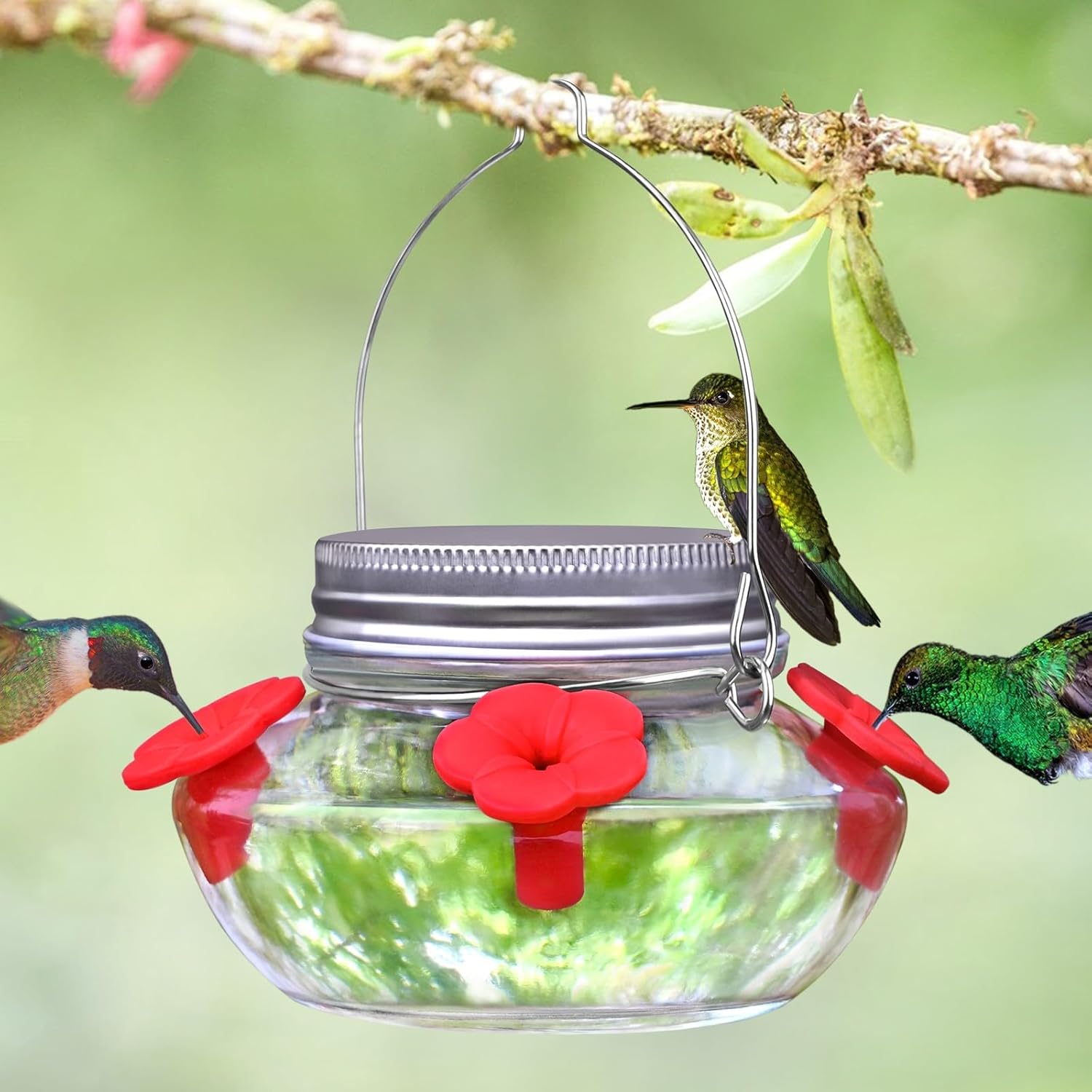 Amazon.com : Glass Hummingbird Feeders for Outdoors Hanging, Cute Mason ...