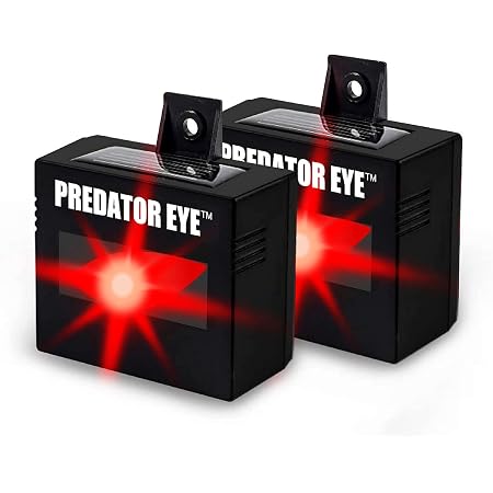 Amazon.com : Nite Guard Solar NG-001 Predator Control Light,Single Pack ...