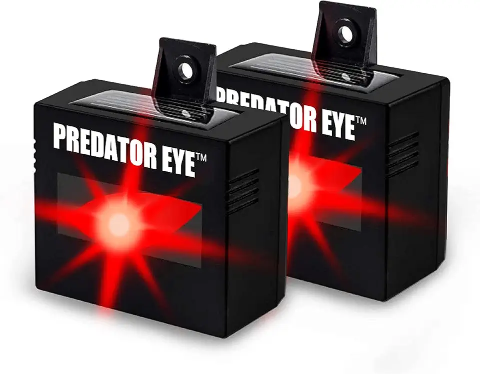 Predator Or Prey: Understanding The Natural Enemies Of Geckos | PetShun