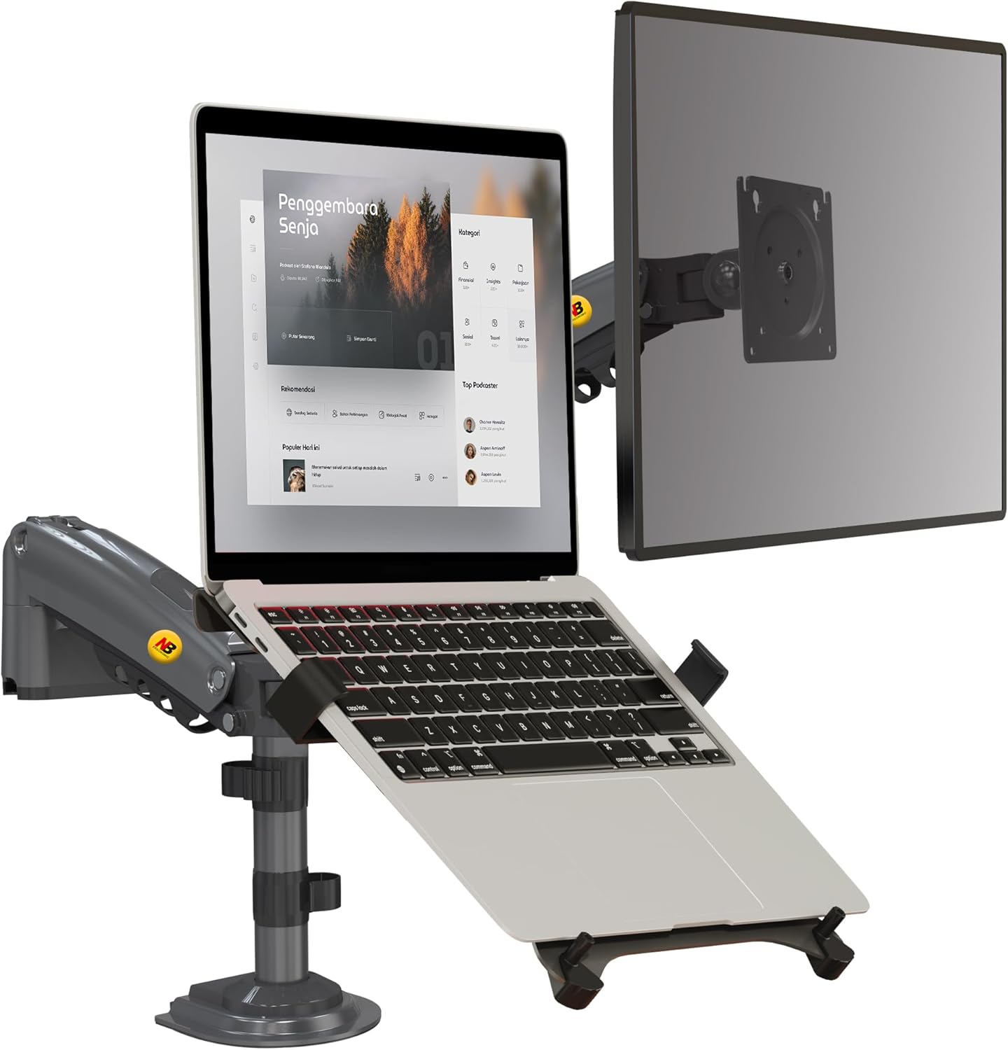 Amazon.com: NB North Bayou Dual Arm 2 in 1 Combo, Laptop Mount with ...