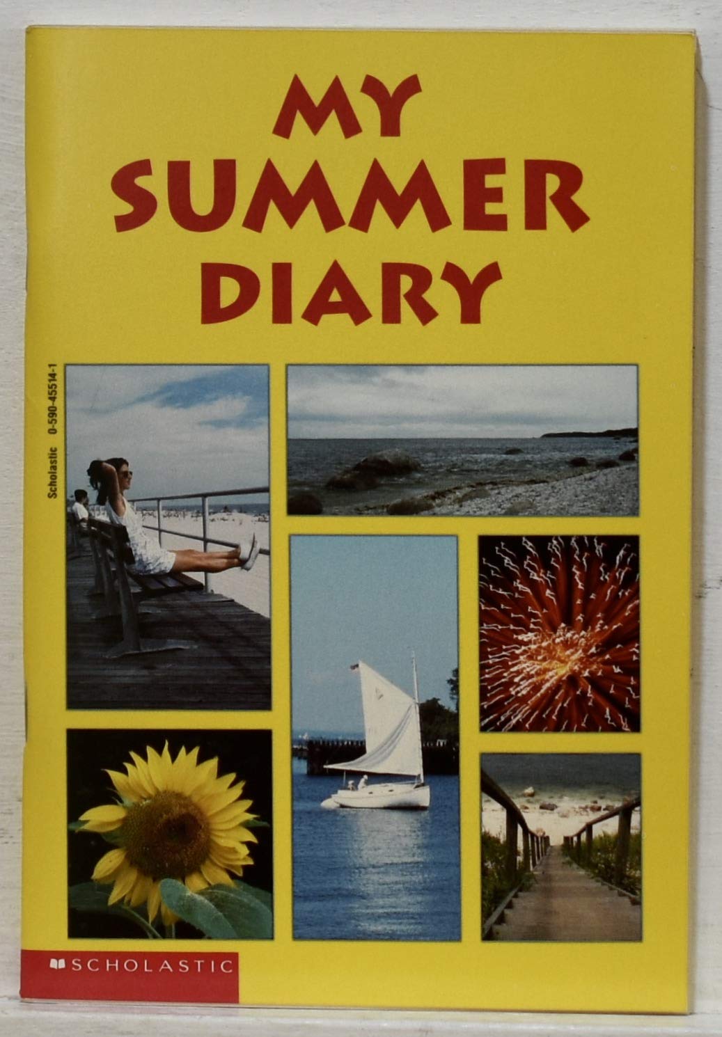 My Summer Diary: Scholastic Books: 9780590455145: Amazon.com: Books