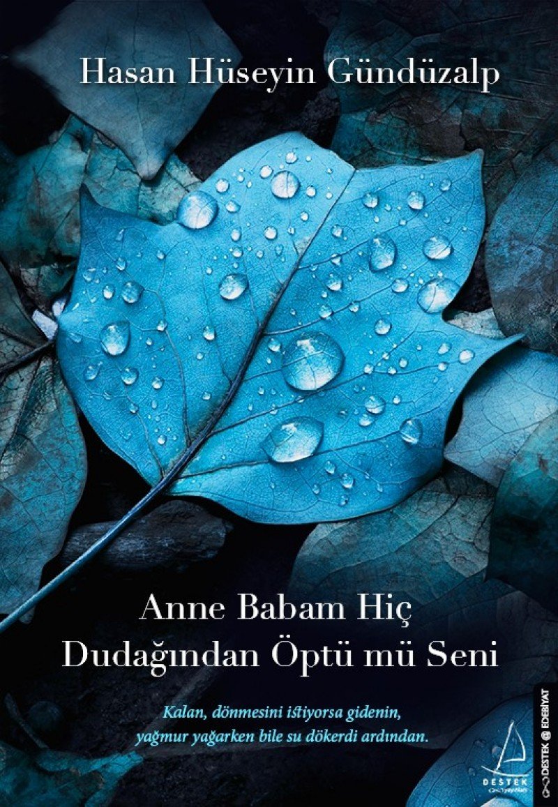 Amazon.com: Anne Babam Hic Dudagindan Öptü Mü Seni?: 9786053110583: Hasan Hüseyin Gündüzalp: Books