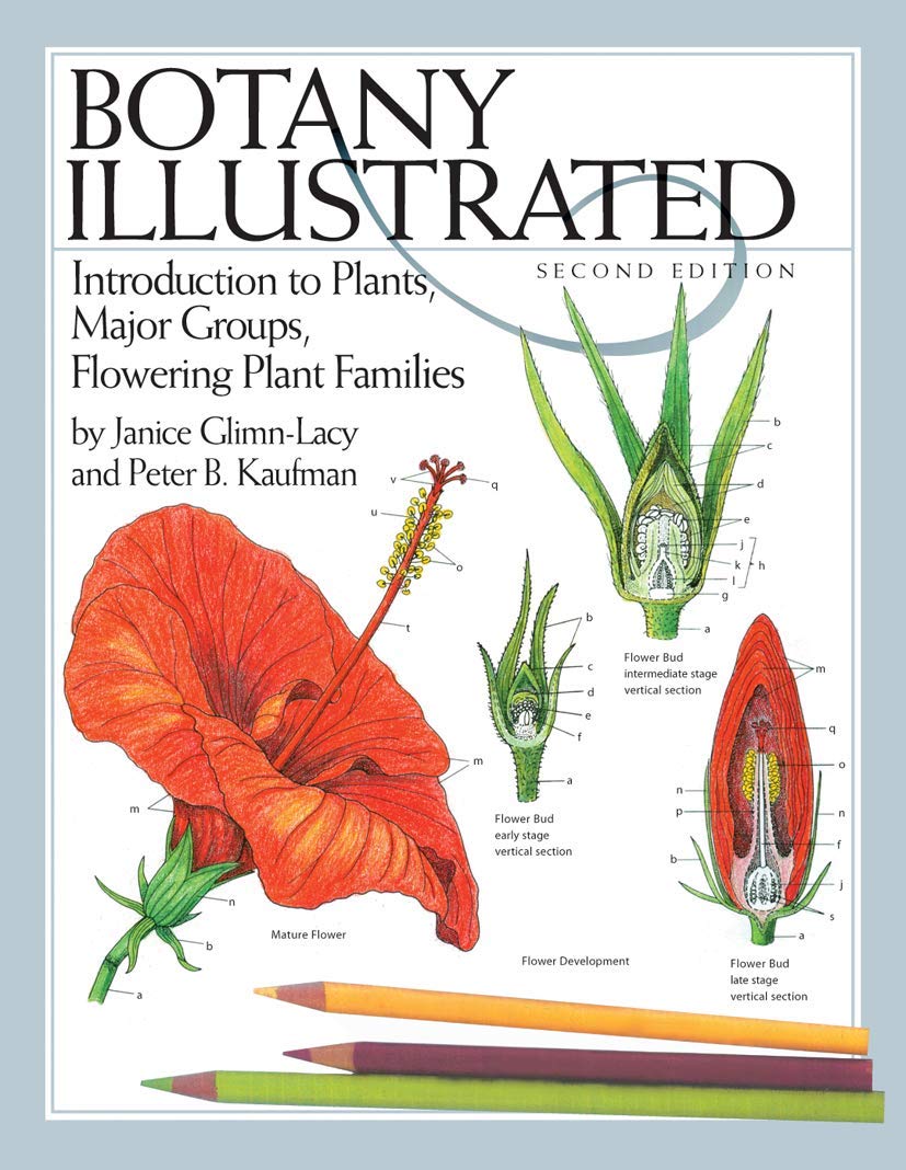 Amazon.com: Botany Illustrated: Introduction to Plants, Major Groups ...