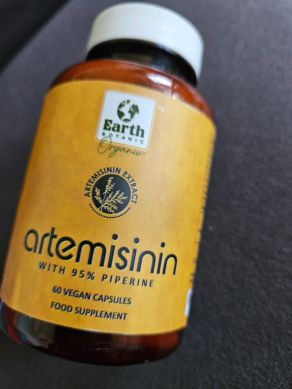 Earth Botanic Organic Artemisinin (Artemisia Absinthium) 205mg with ...
