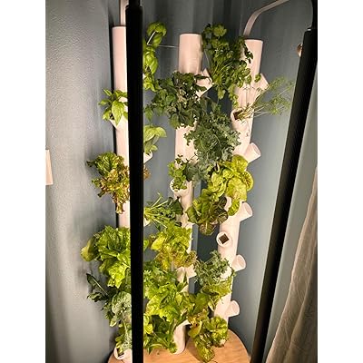 Gardyn 3.0 Indoor Hydroponics Growing System with India | Ubuy