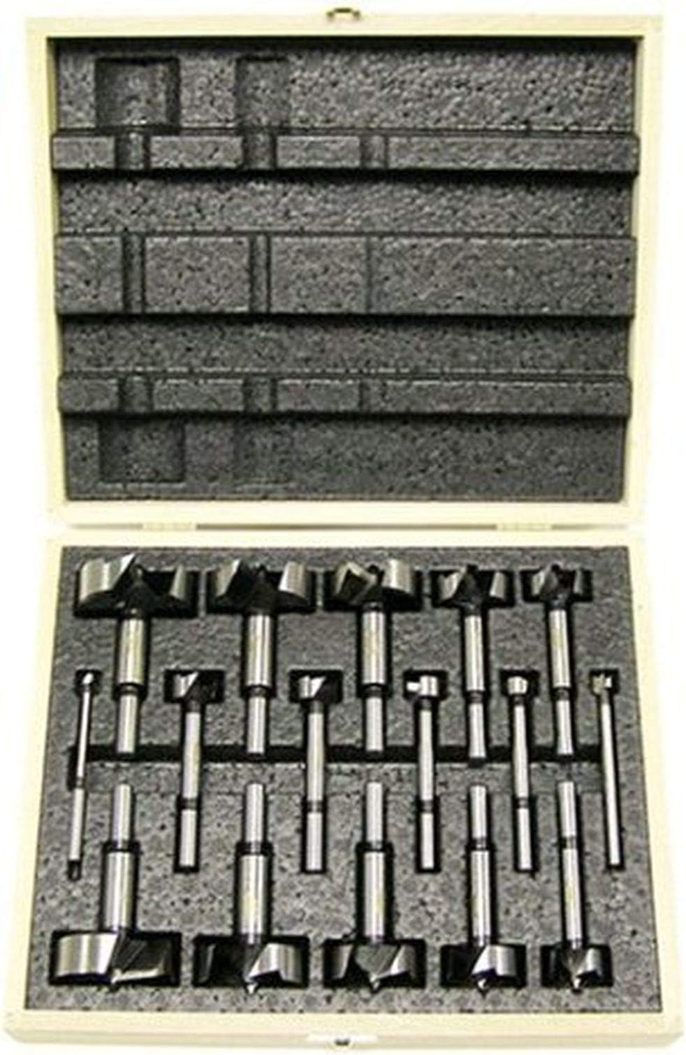 Freud FB-100 16-Piece Diablo Forstner Drill Bit Set : Amazon.ca: Tools ...