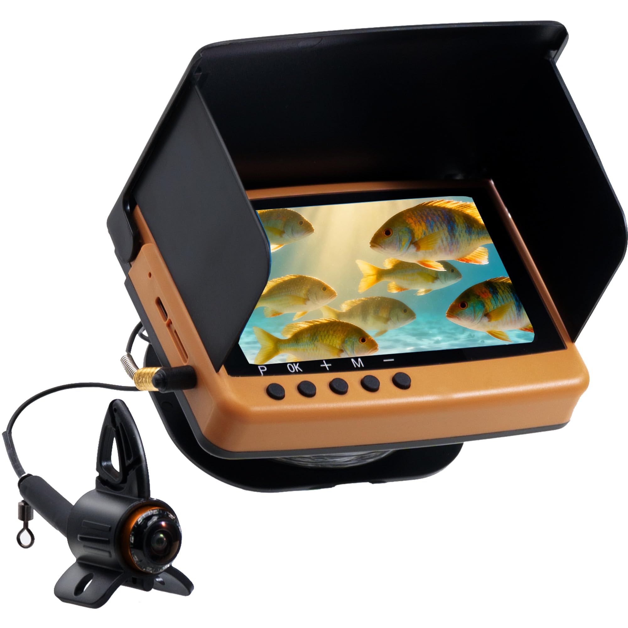 9 Best Underwater Fish Cameras | See the Bite, Beat the Wait