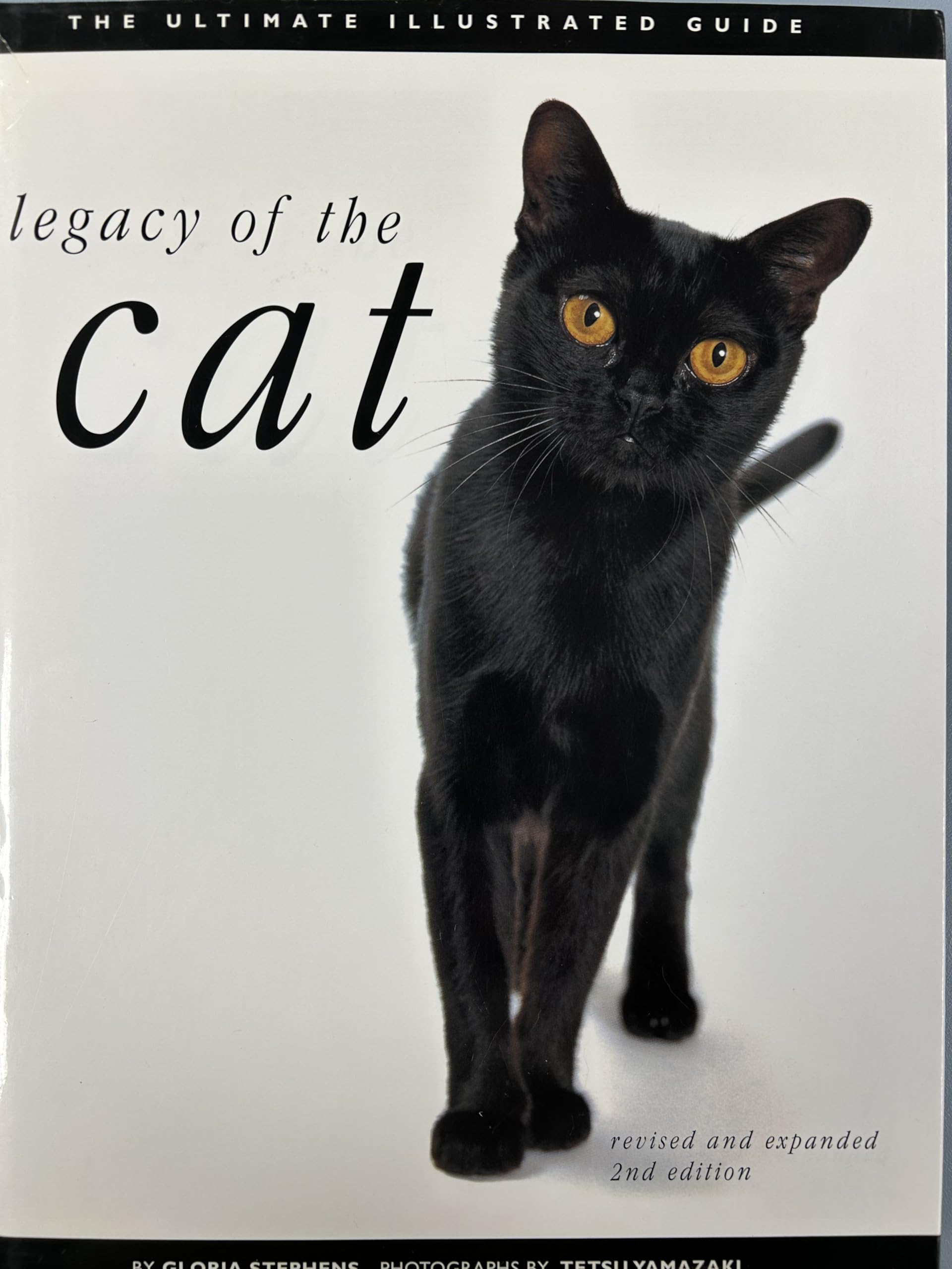 Legacy of the Cat, the Ultimate Illustrated Guide: Gloria Stephens ...