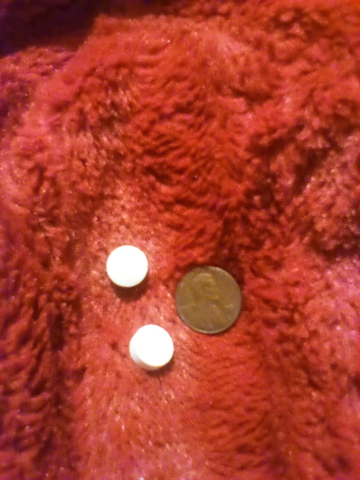 Amazon.com: Oral Probiotics for Upper Respiratory Immune Health, Strep ...