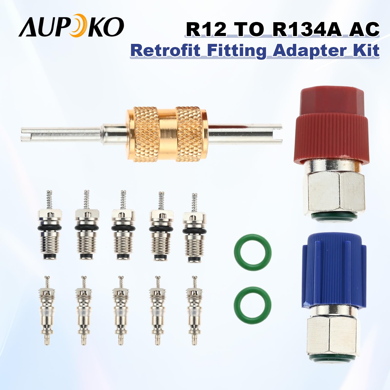Snapklik.com : R12 To R134a Conversion Kit, Include R12 R22 To R134A ...
