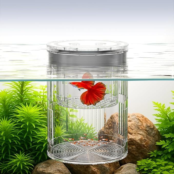 Floating Acrylic Breeder Box for Fish Tank - Aquarium Isolation ...