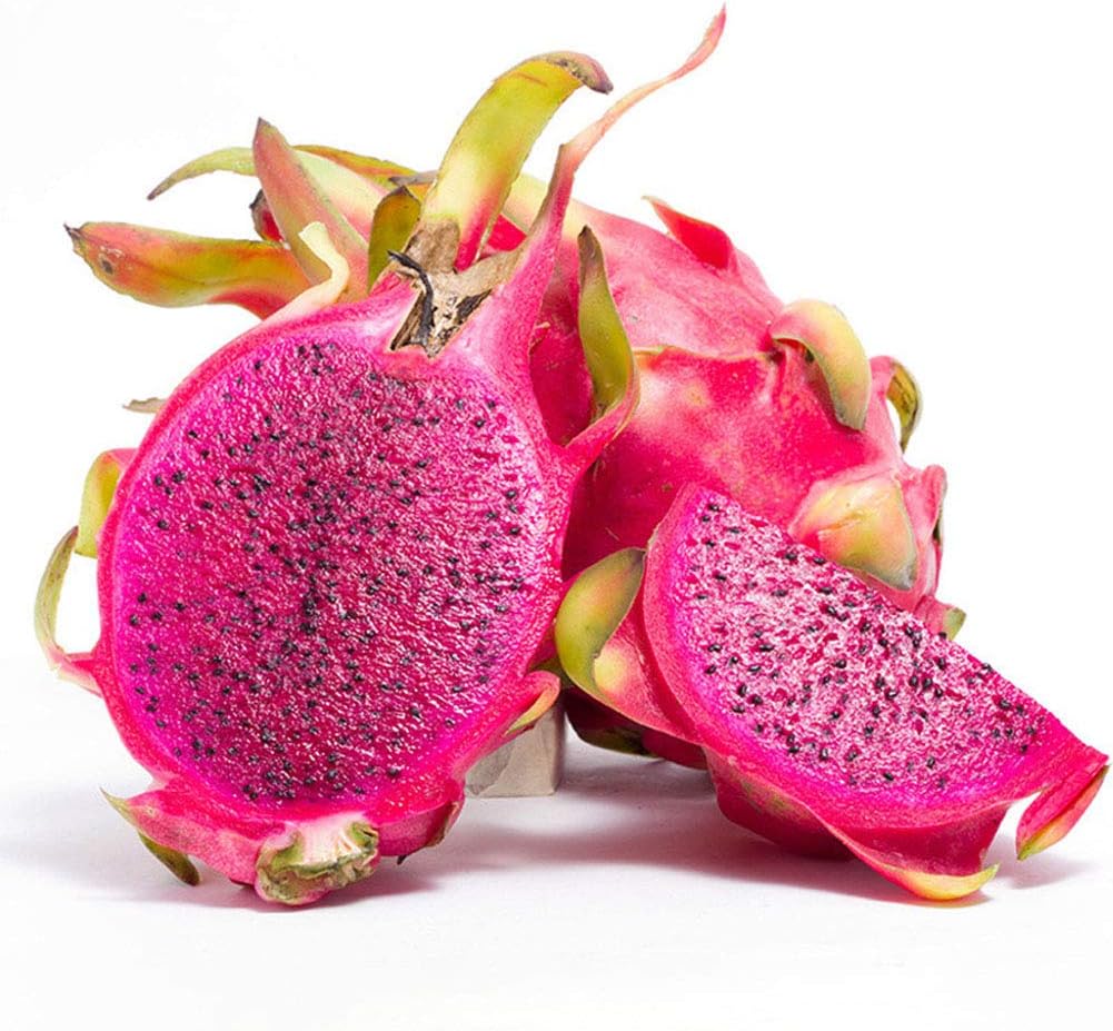8QzJs1Tg 20Pcs Sweet Pitaya Seeds Hylocereus Undatus Dragon Fruit ...