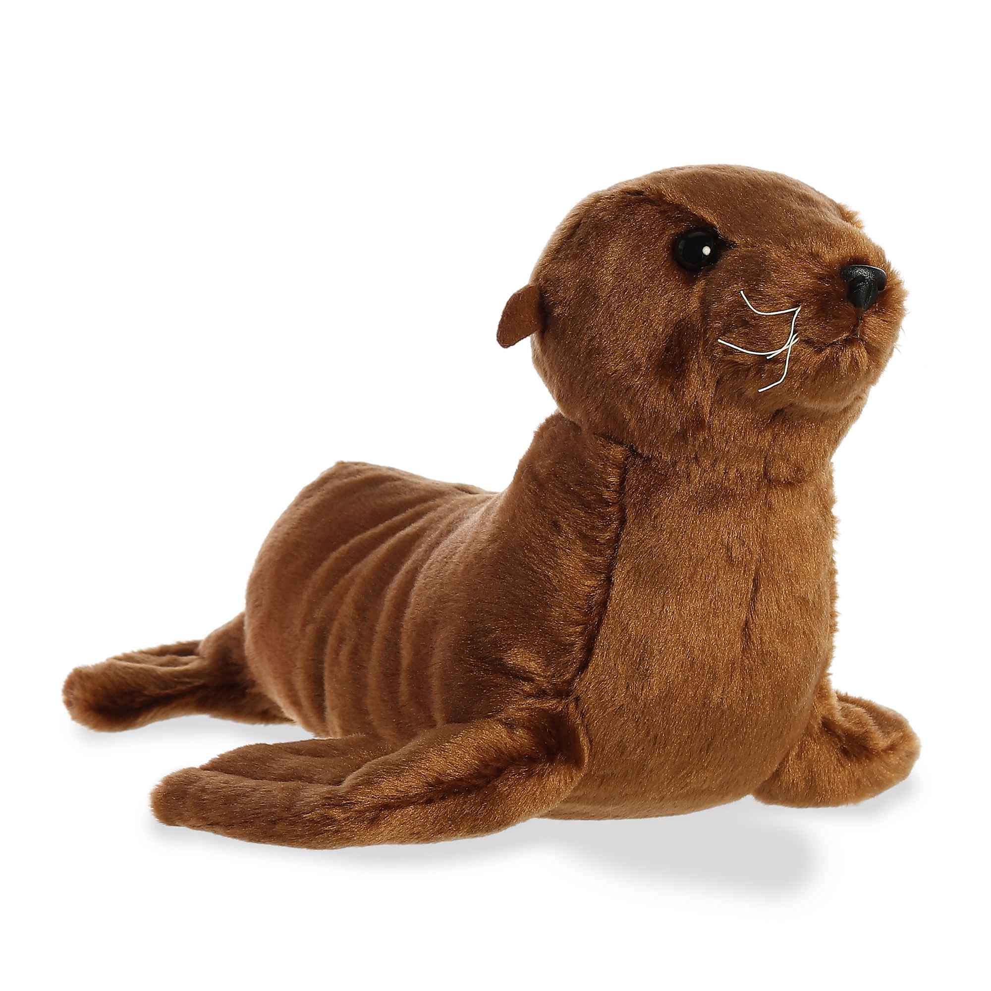 Amazon.com: Aurora® Huggable Destination Nation™ Sea Lion Stuffed ...