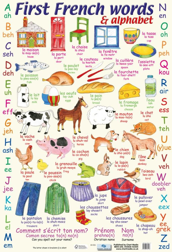 Amazon.com: First French Words Learn The Alphabet in French Mini Poster ...